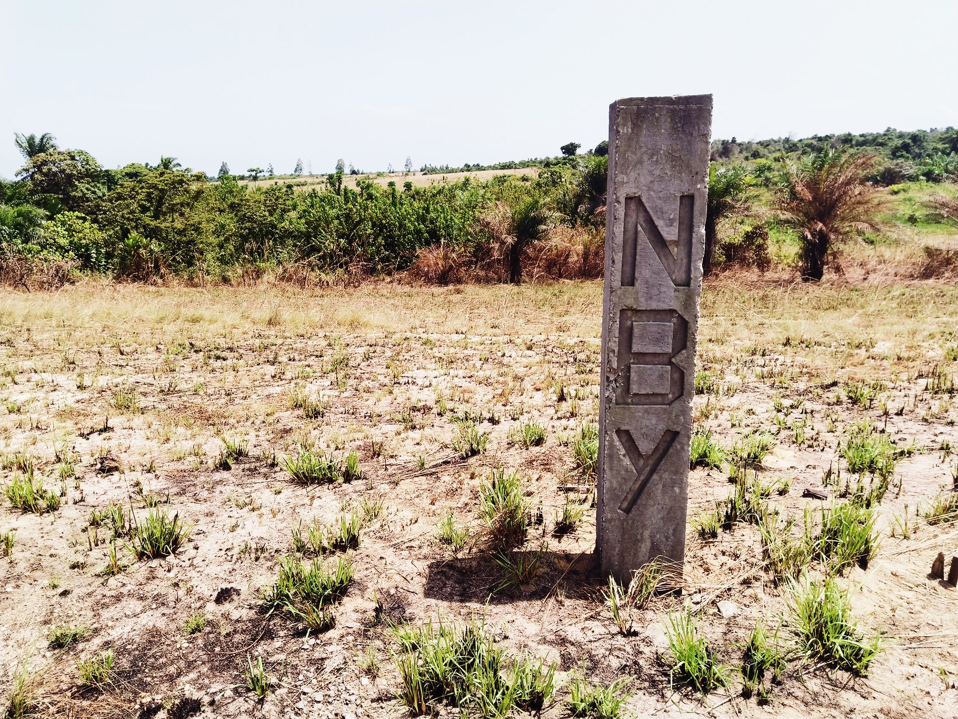 NBY Immobilier Conseils - CONGO (Brazzaville et Pointe Noire)